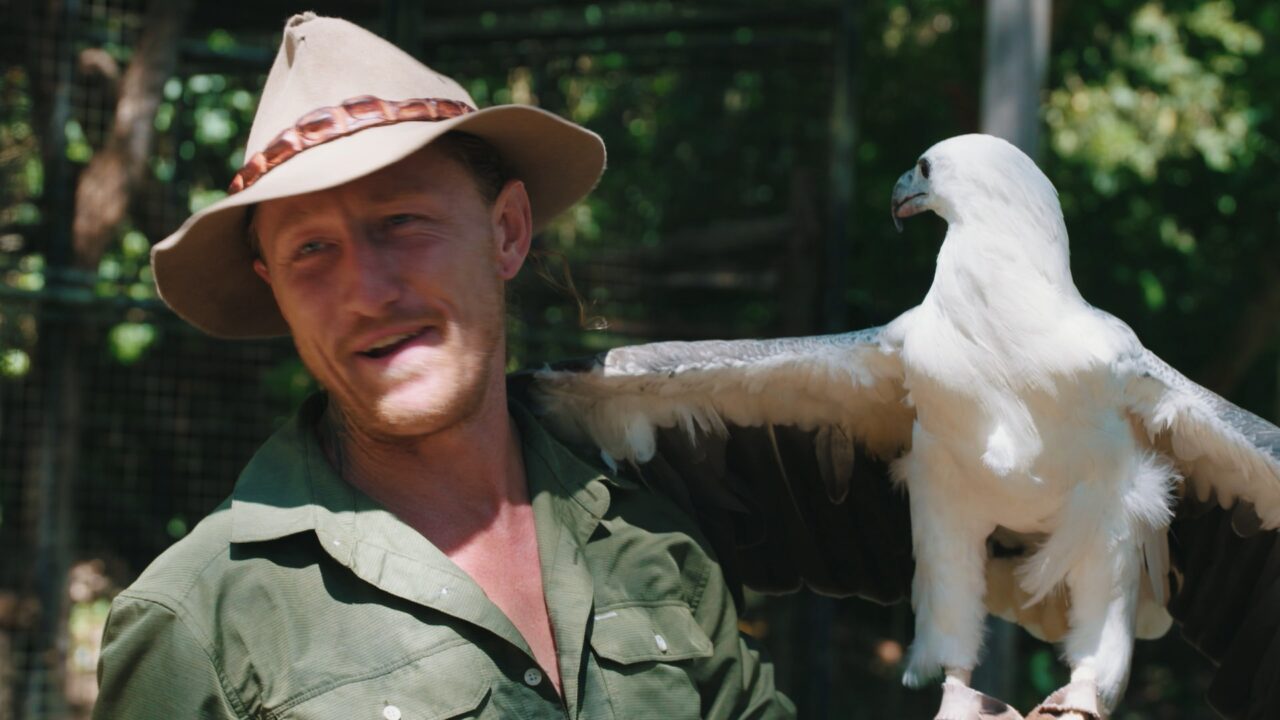 Las más extraordinarias criaturas llegan en mayo a Discovery - Revista ...